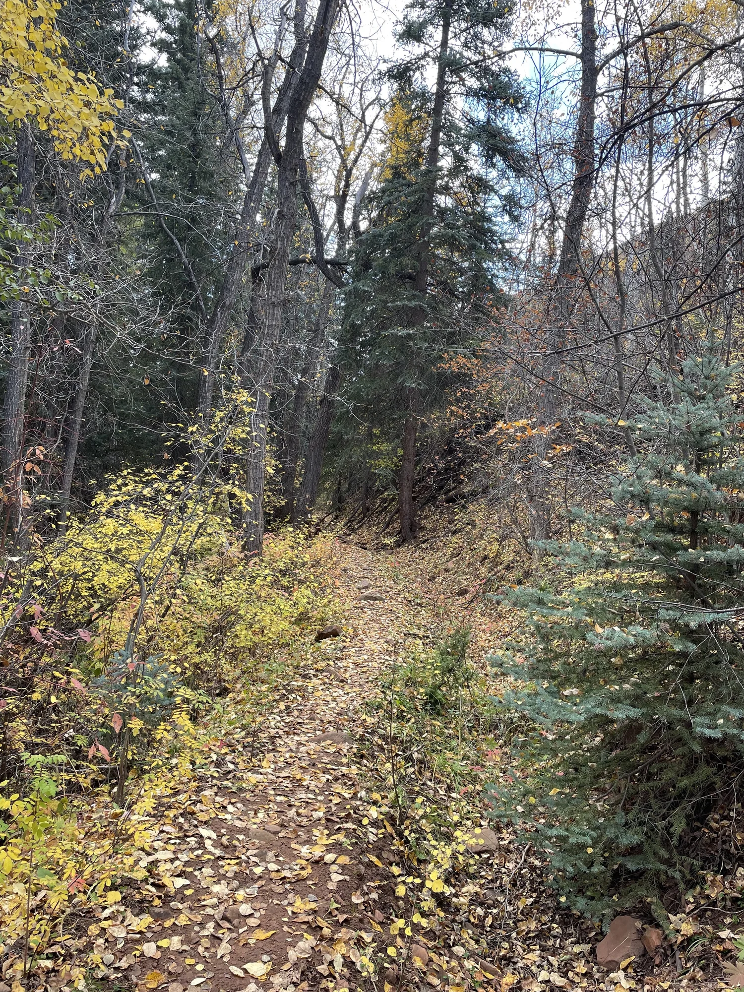 Art of Instinct and Intuition Mastermind — dueyfreeman.org