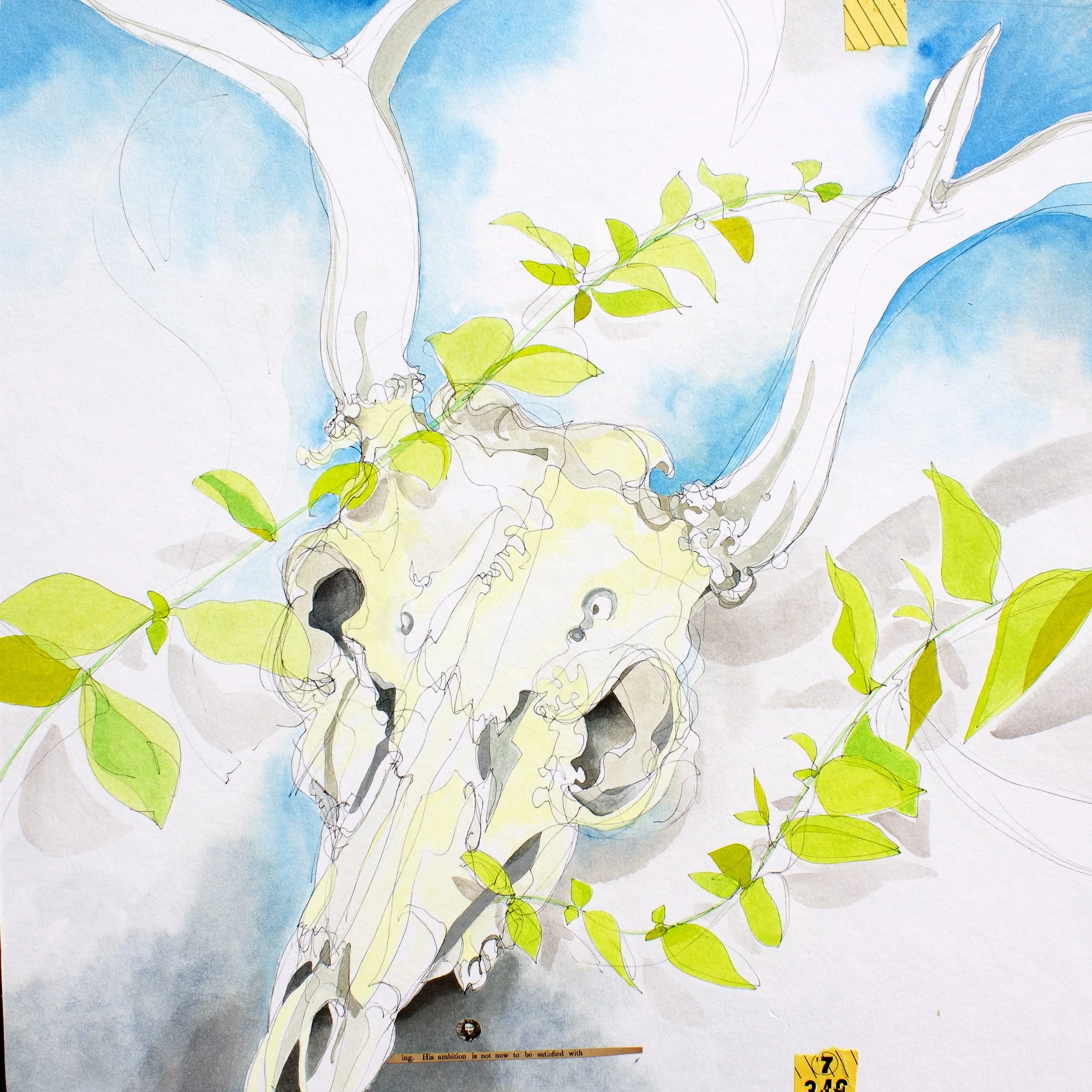 Tracy Coon Artist Home