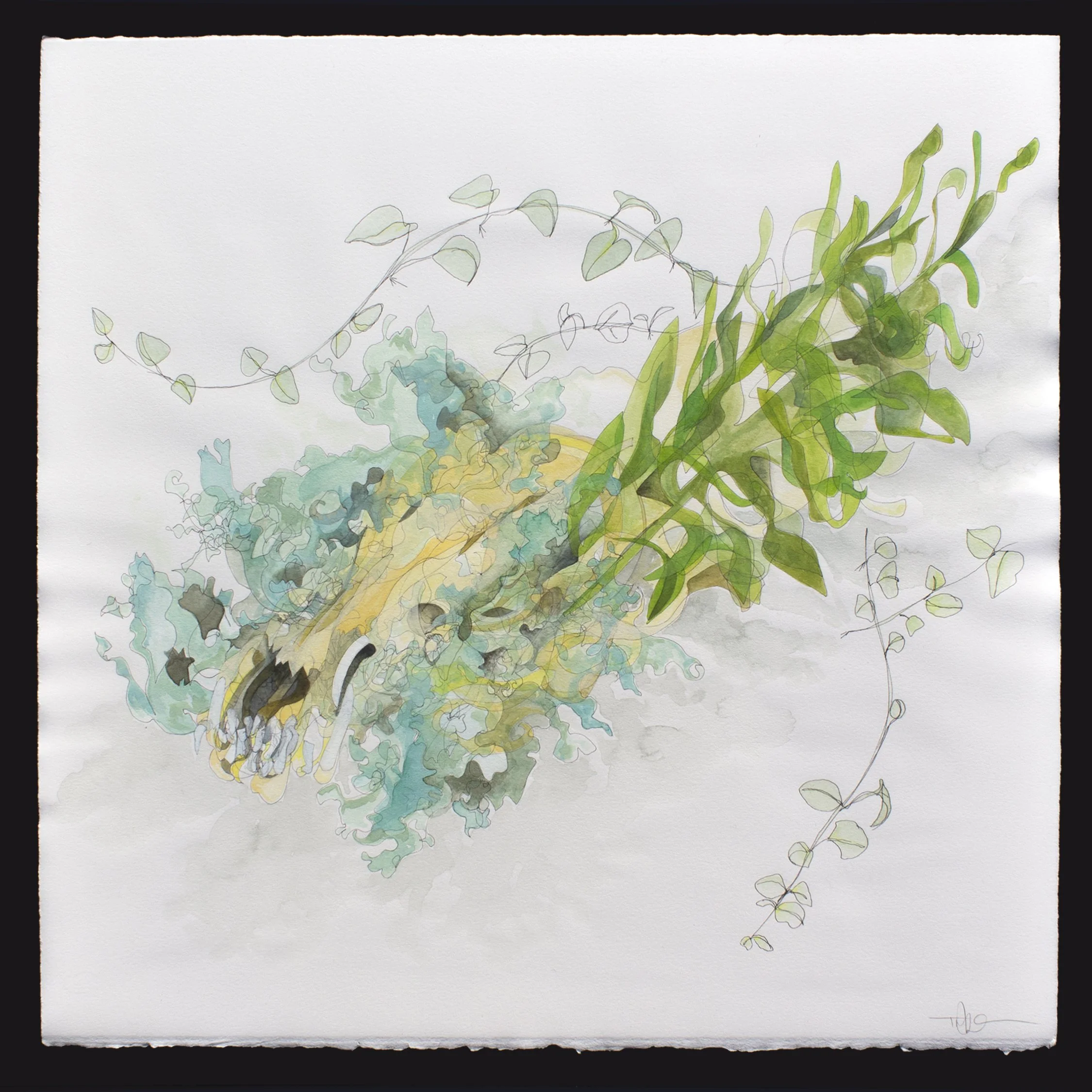 Tracy Coon Art Portfolio — Tracy Coon Artist