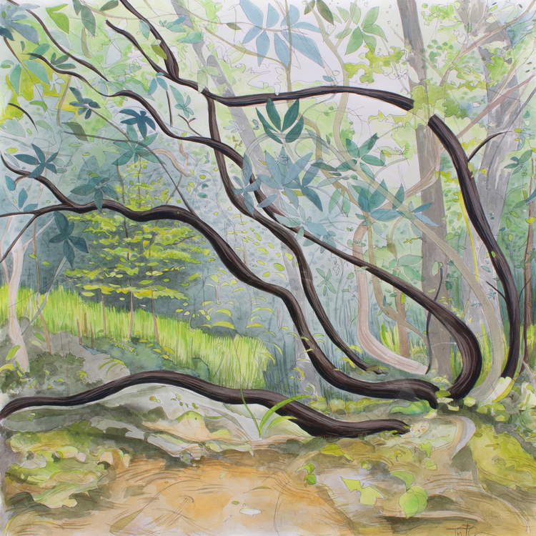Tracy Coon Artist Home