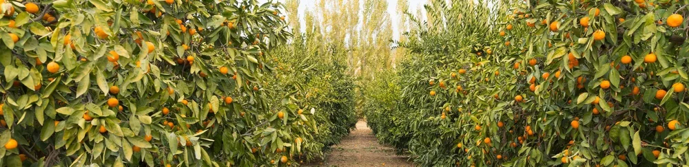 About Us — AgroSource, Inc.