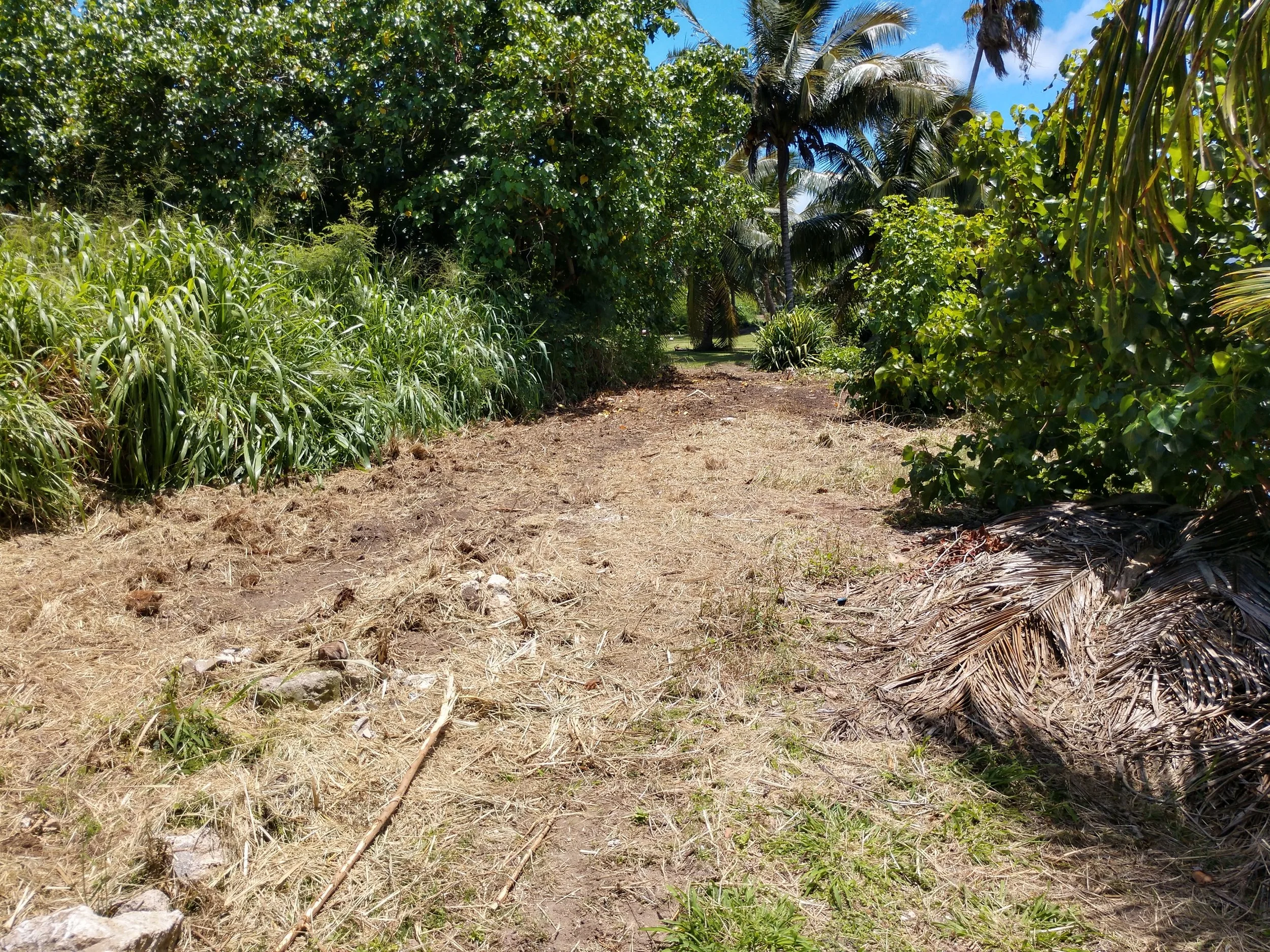 Kendall Landscape Services Gallery page — klshawaii