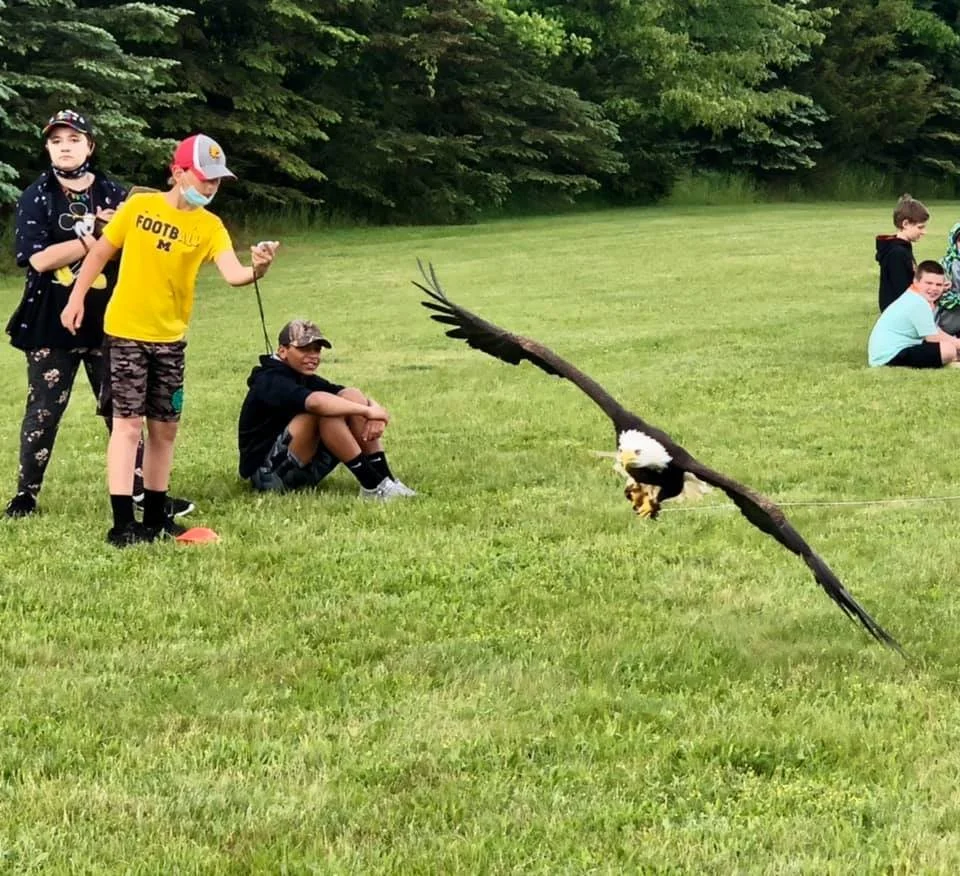 programs — Michigan Avian Experience