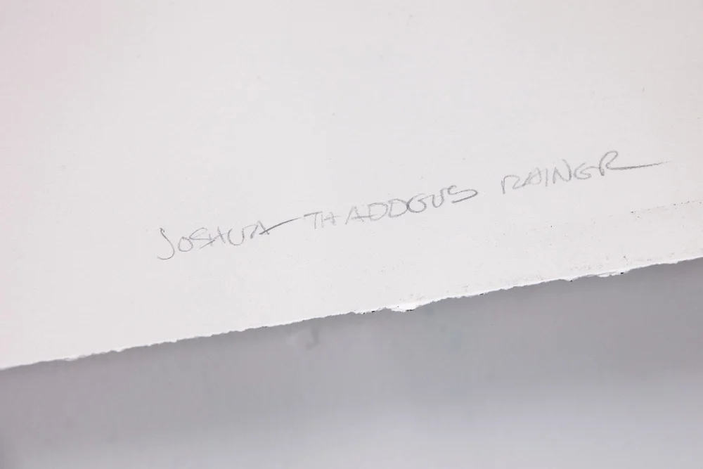 Joshua Rainer — M Contemporary Art | Contemporary Detroit Artists Gallery