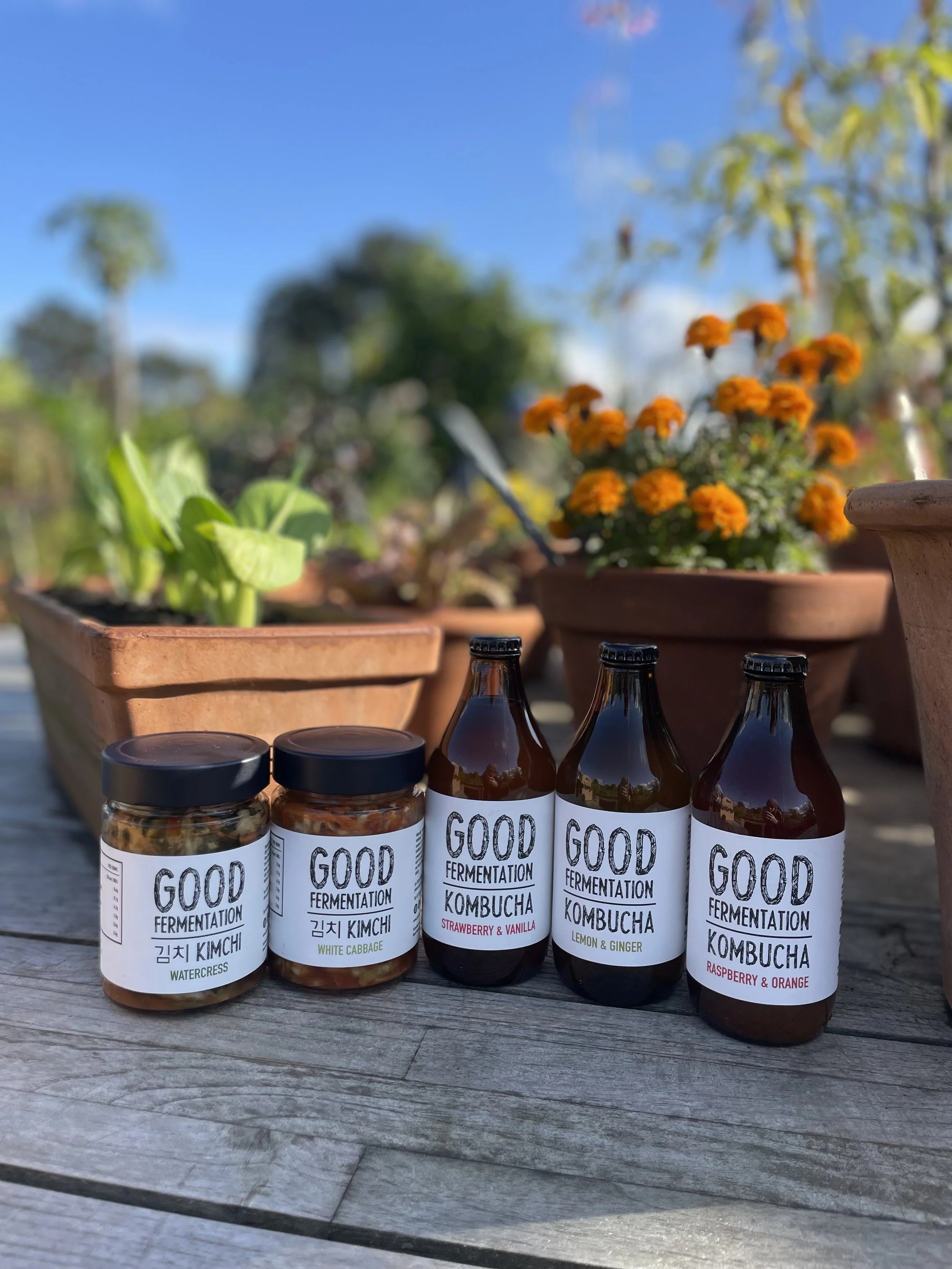 MARKETS & EVENTS — GOOD FERMENTATION