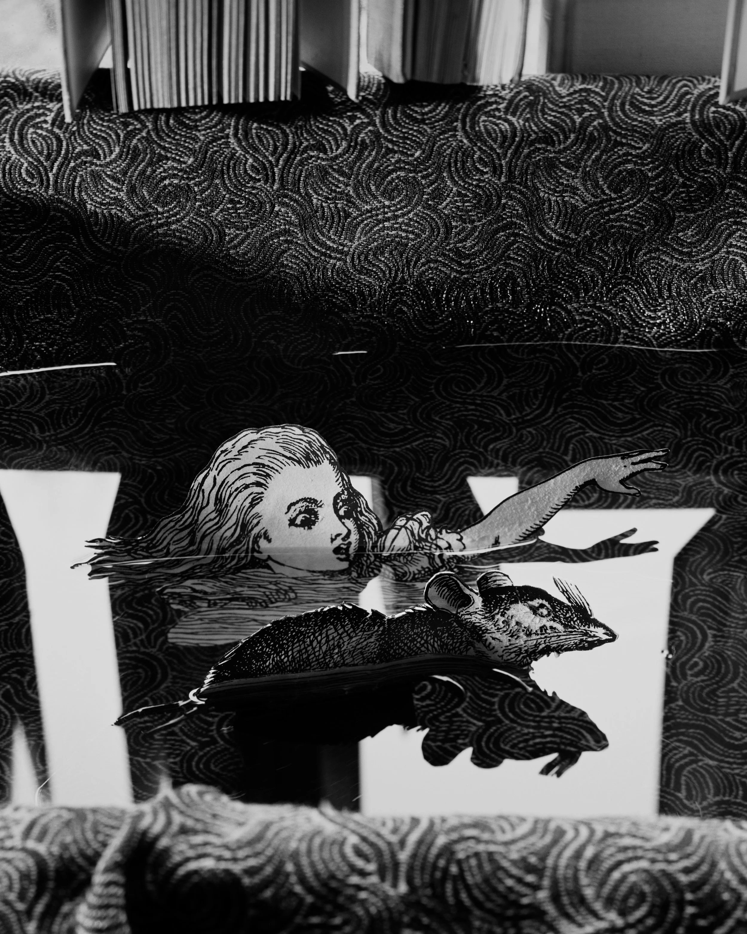 Alice in Wonderland — Abelardo Morell