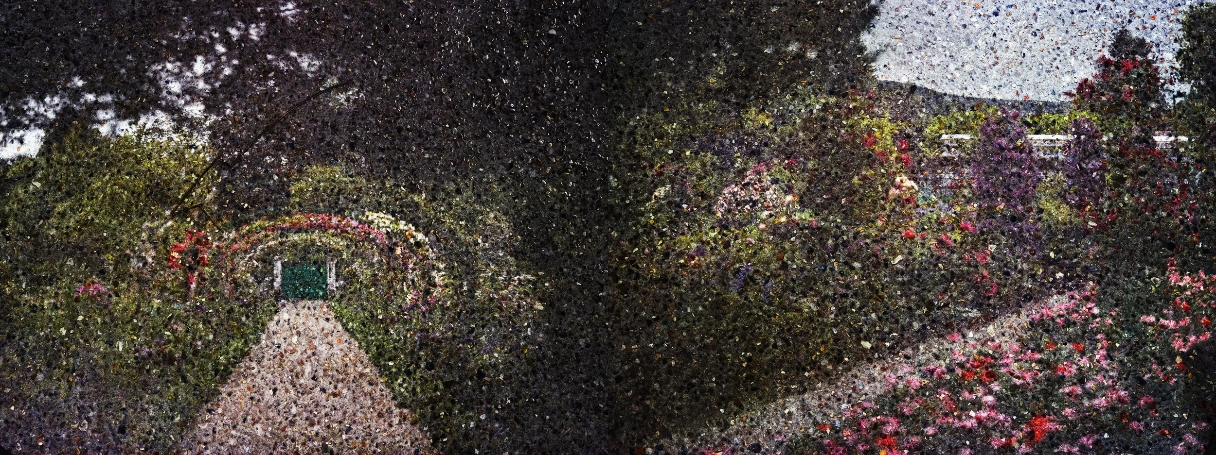 Pictures on the Ground: In the Terrain of Monet — Abelardo Morell