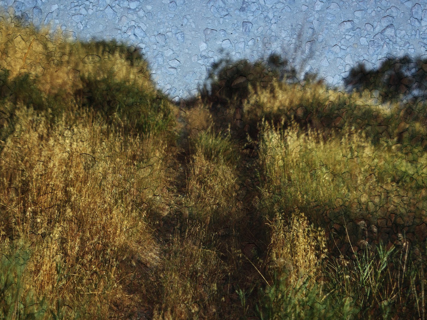 On the Ground: In the Footsteps of Van Gogh — Abelardo Morell
