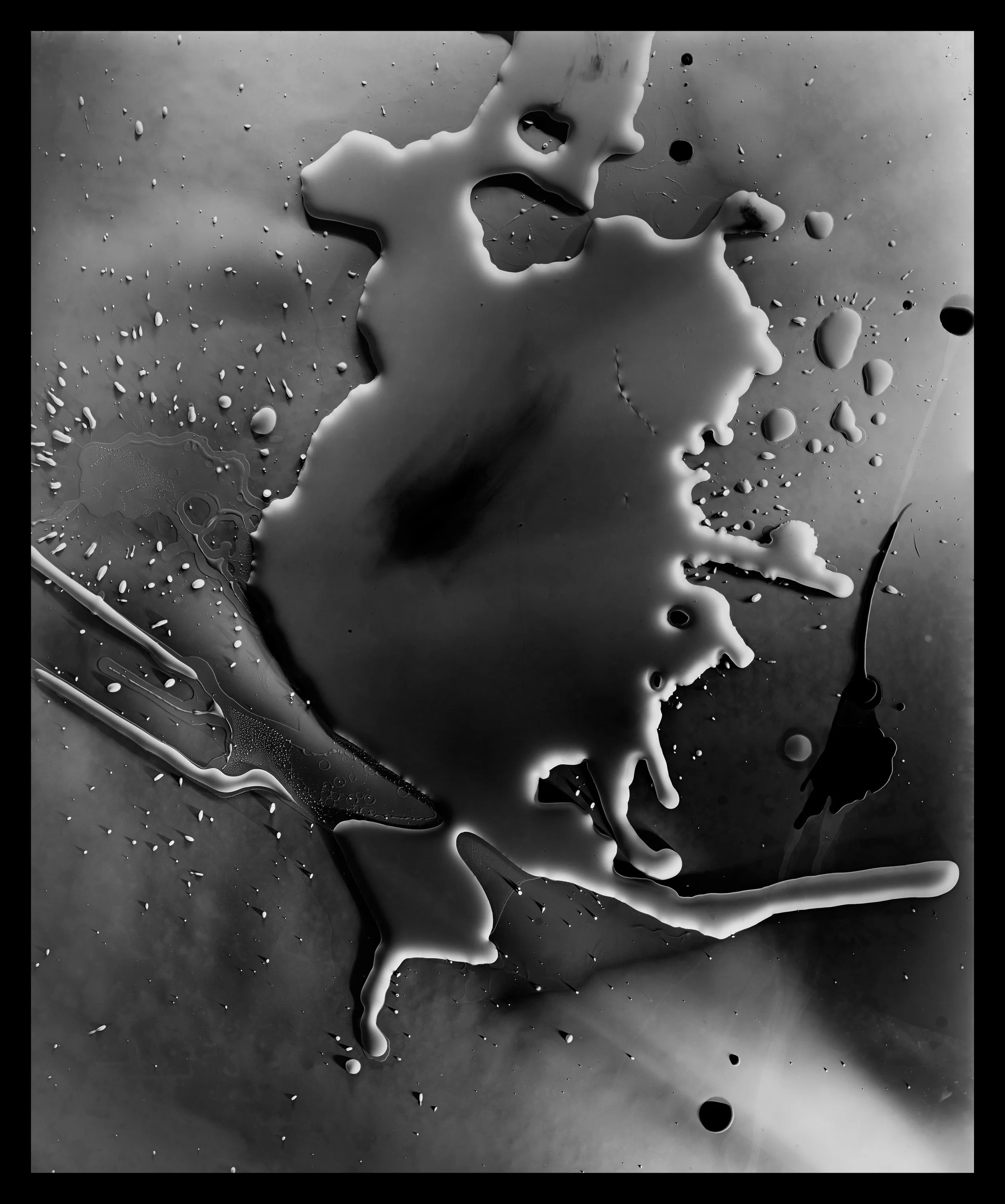 Photograms — Abelardo Morell