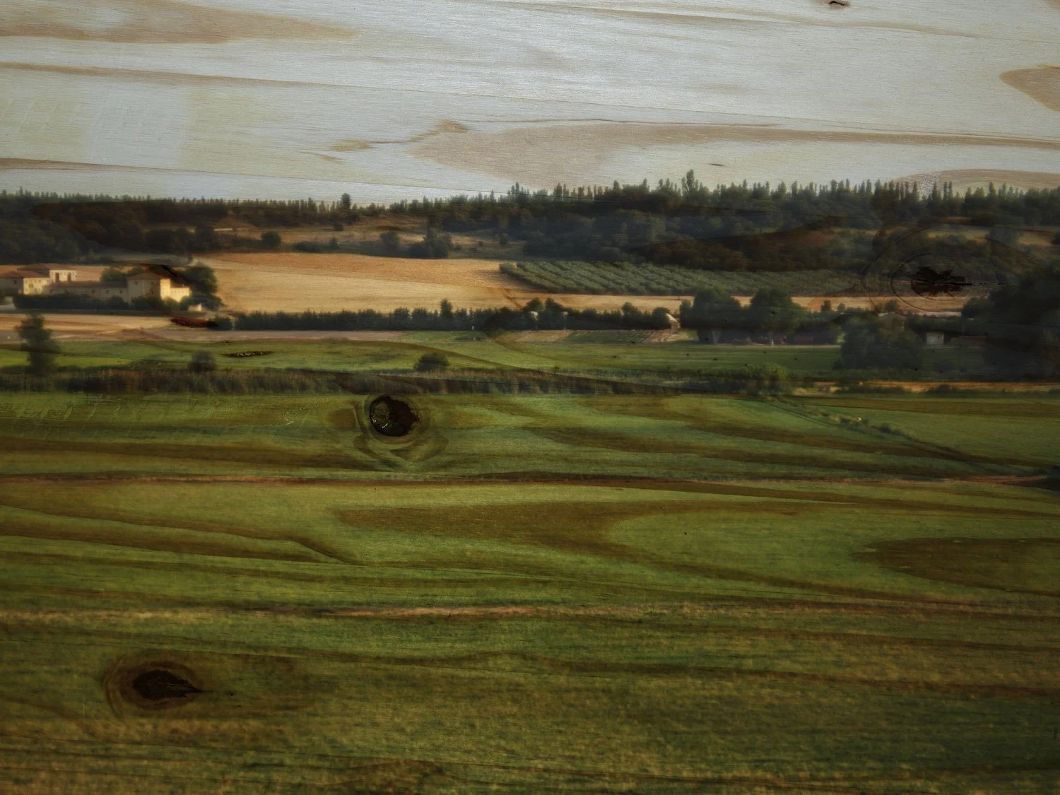 On the Ground: In the Footsteps of Van Gogh — Abelardo Morell