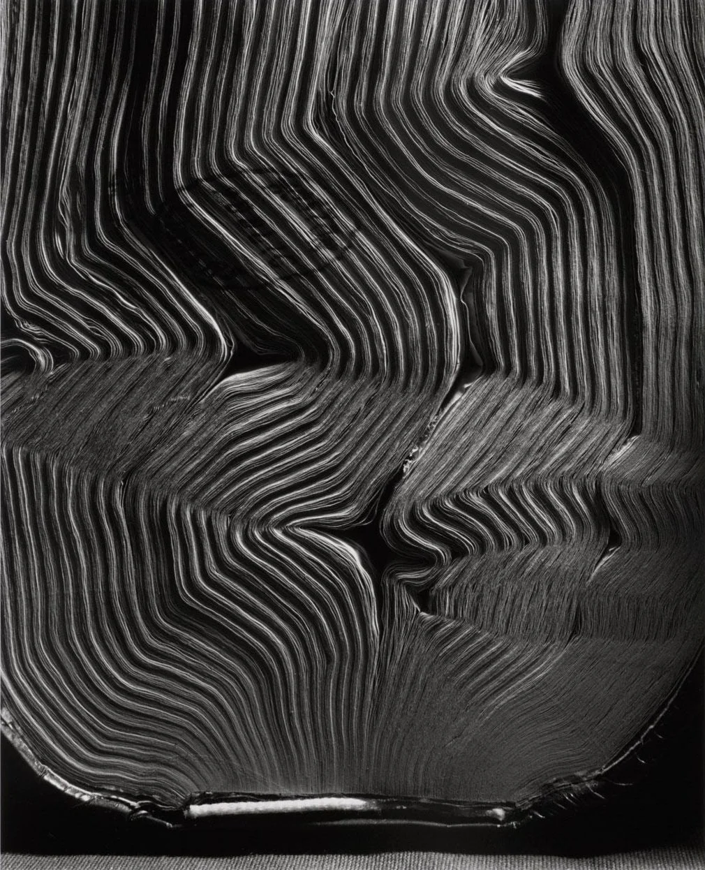 Exhibitions / Publications — Abelardo Morell