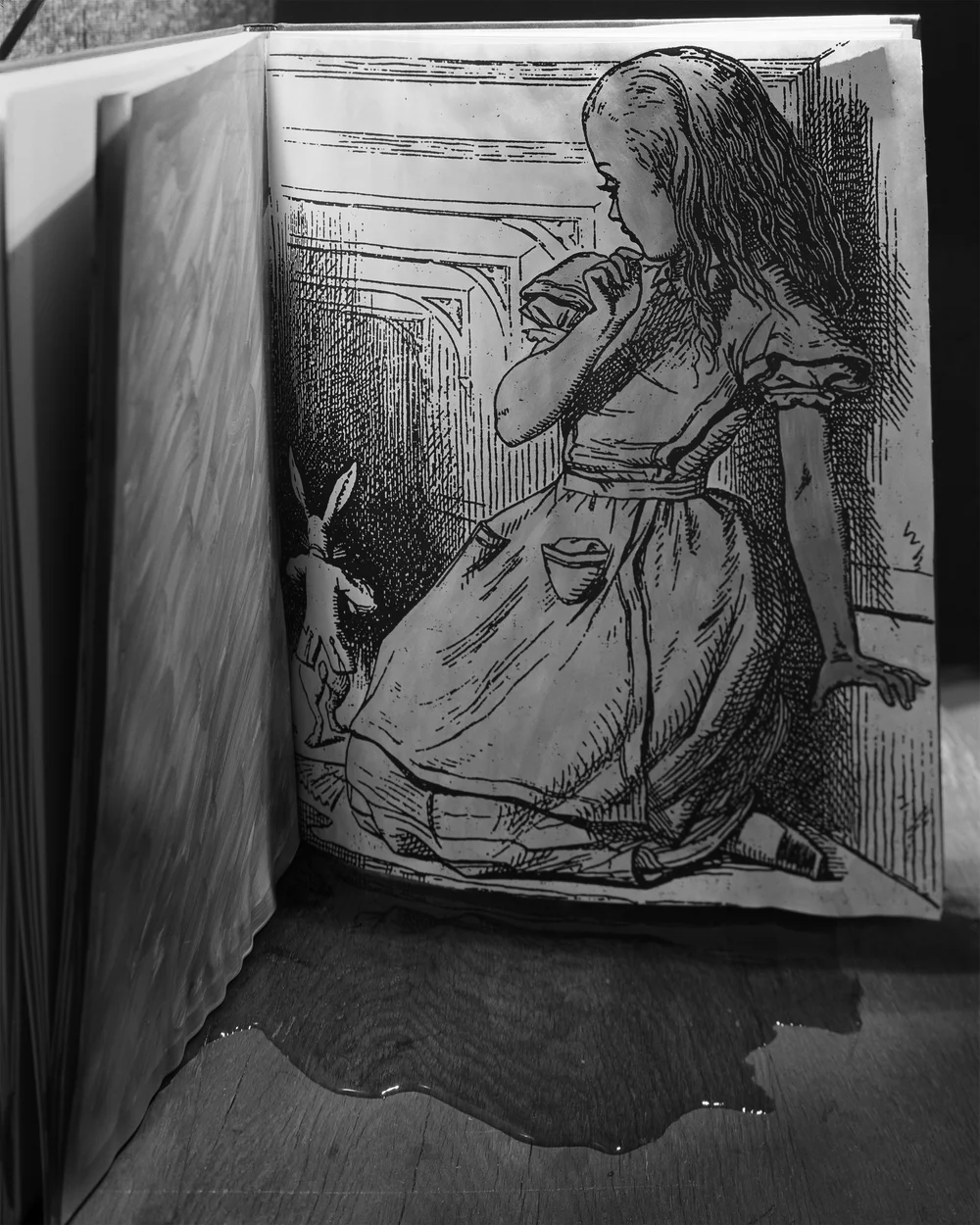 Abelardo Morell Alice In Wonderland
