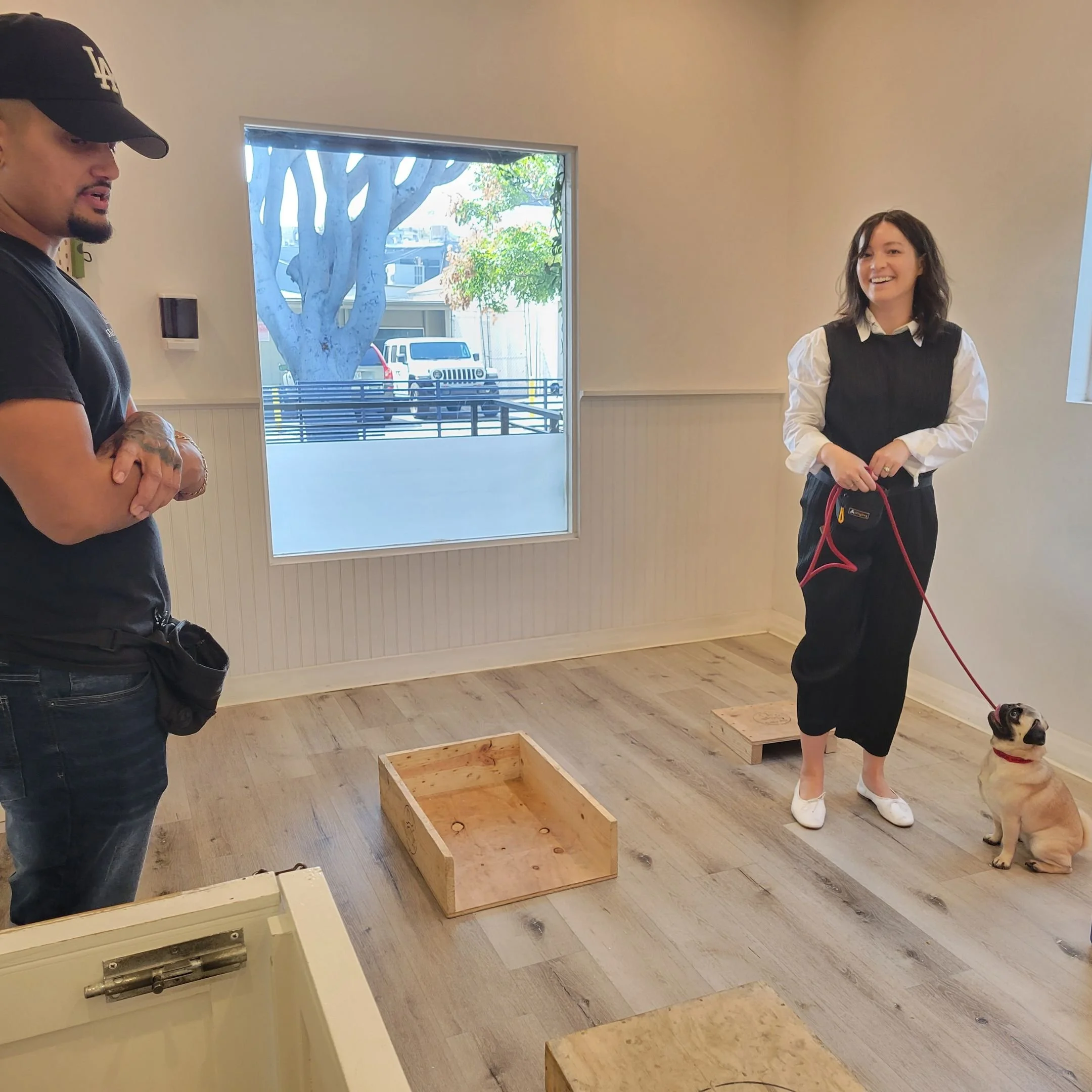 Dog School — Stardogs Clubhouse