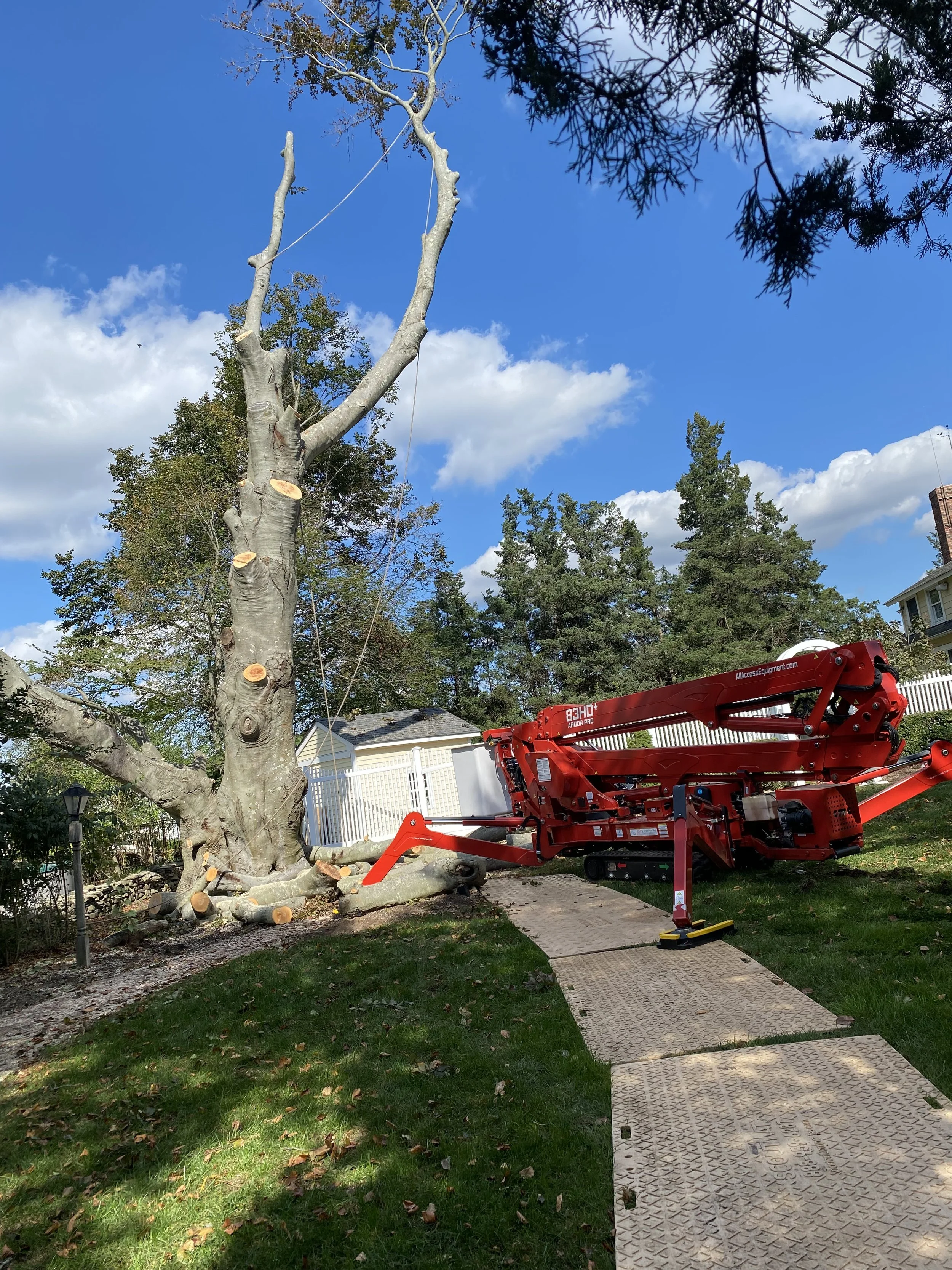 Gallery — ANDERSON'S TREE SERVICE