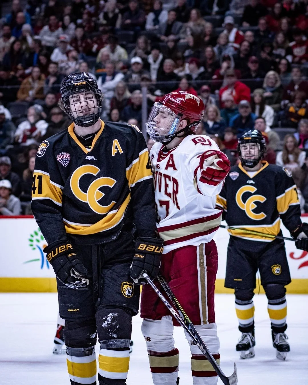TOP 10 COLLEGE HOCKEY RIVALRIES — Everything College Hockey