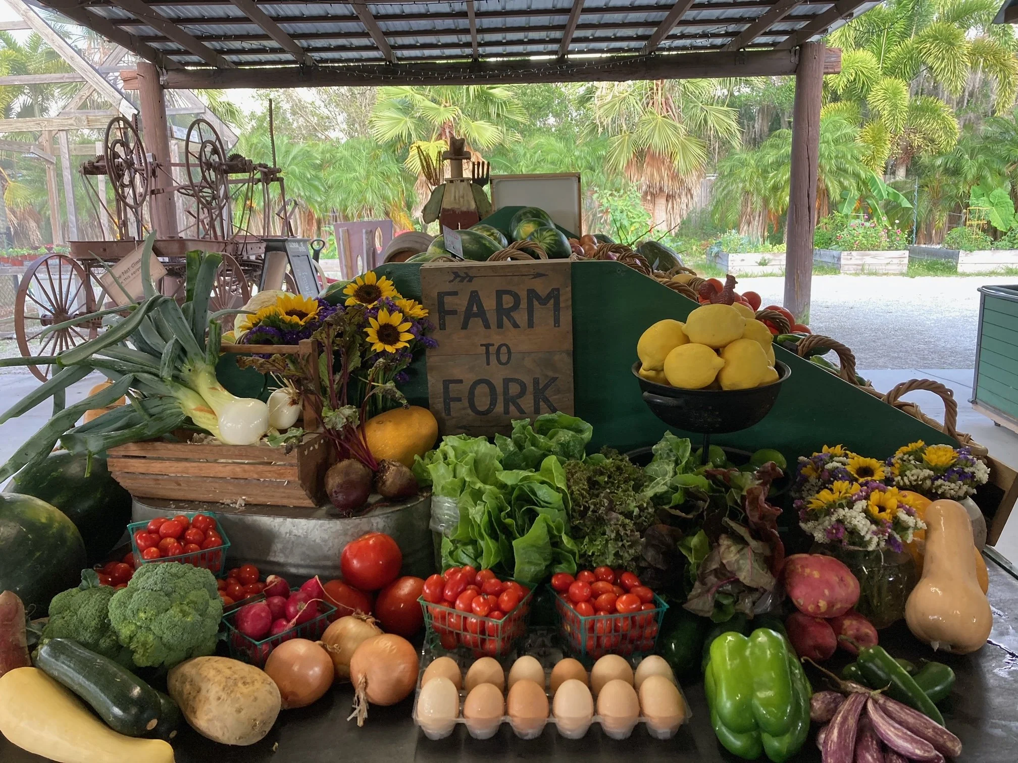 Southern Fresh Farms