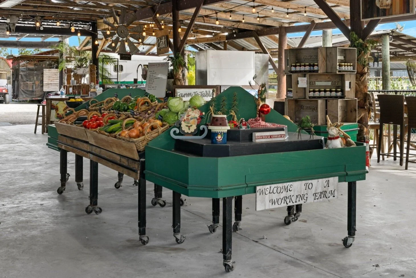 About the Farm — Southern Fresh Farms