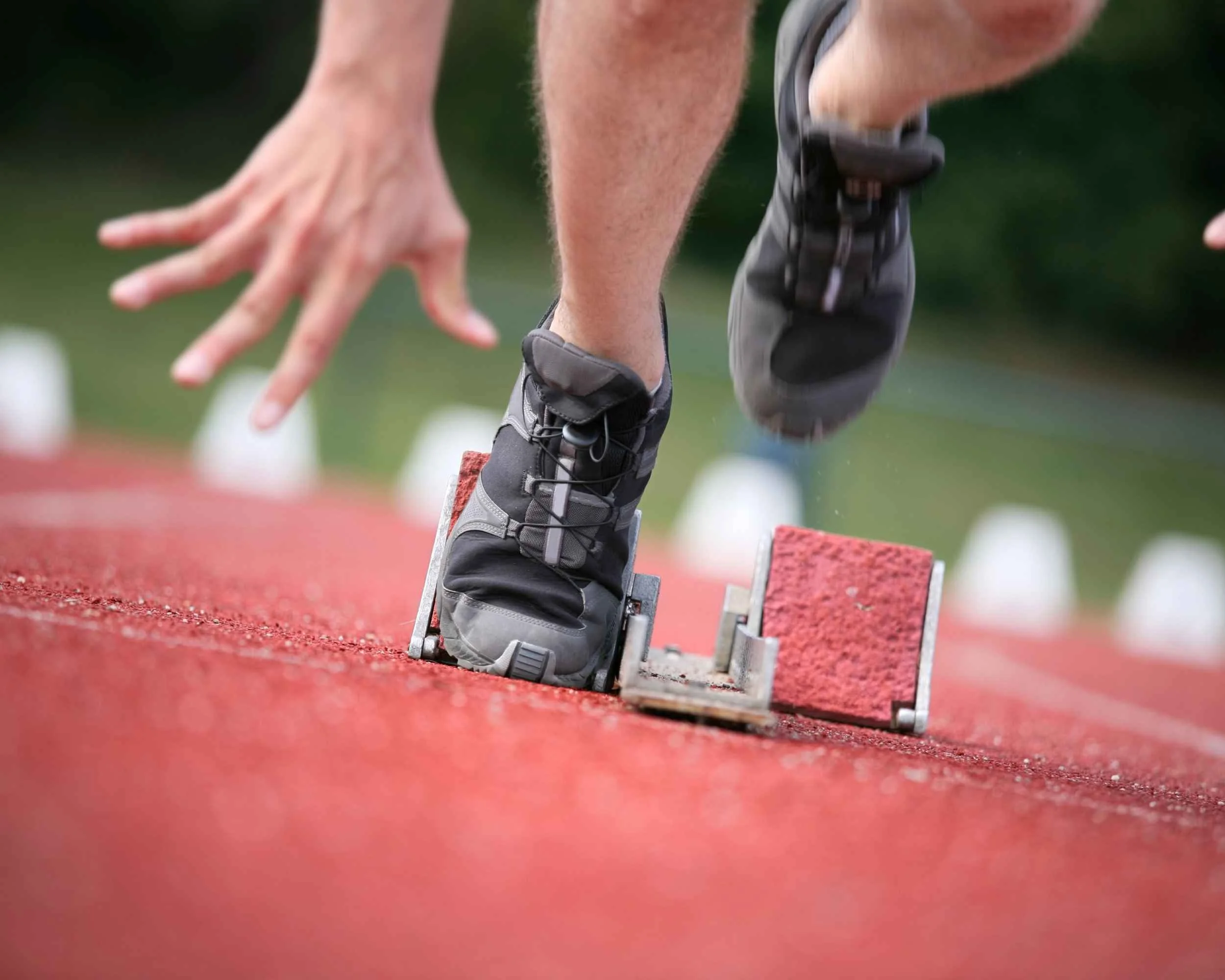 Organisation Solutions