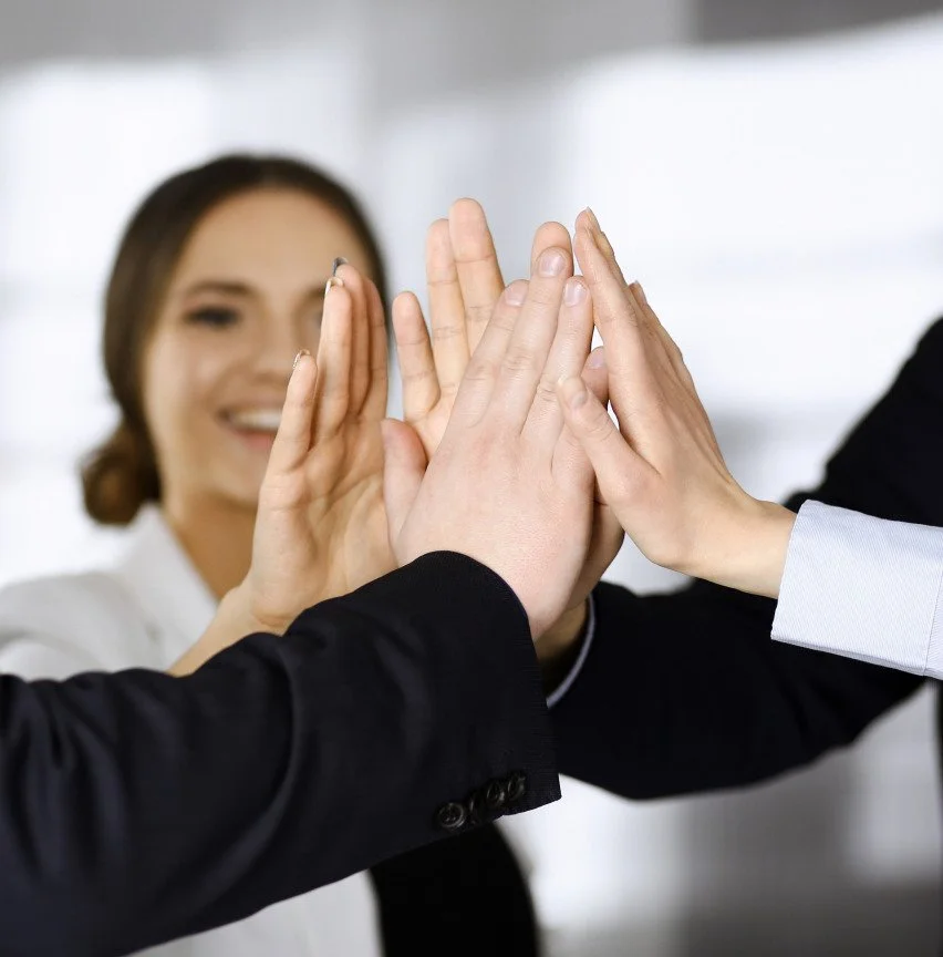 Team — Organisation Solutions