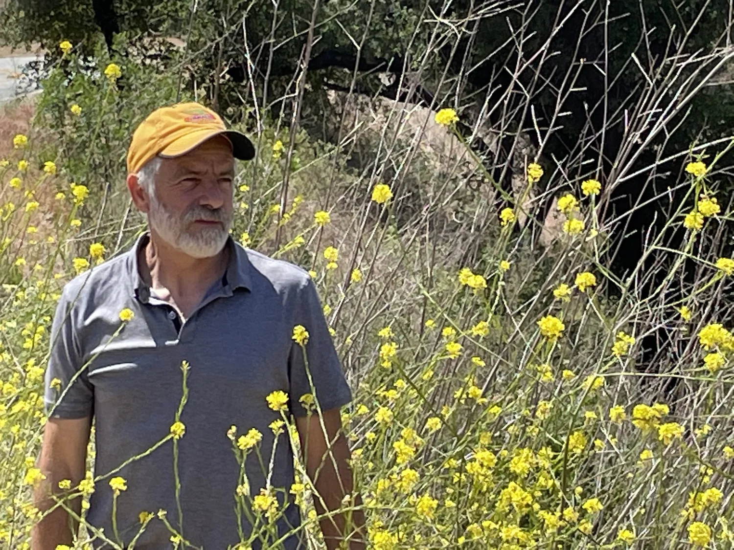 Two Poems — The Argyle Literary Magazine