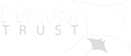 Manta ID Palau