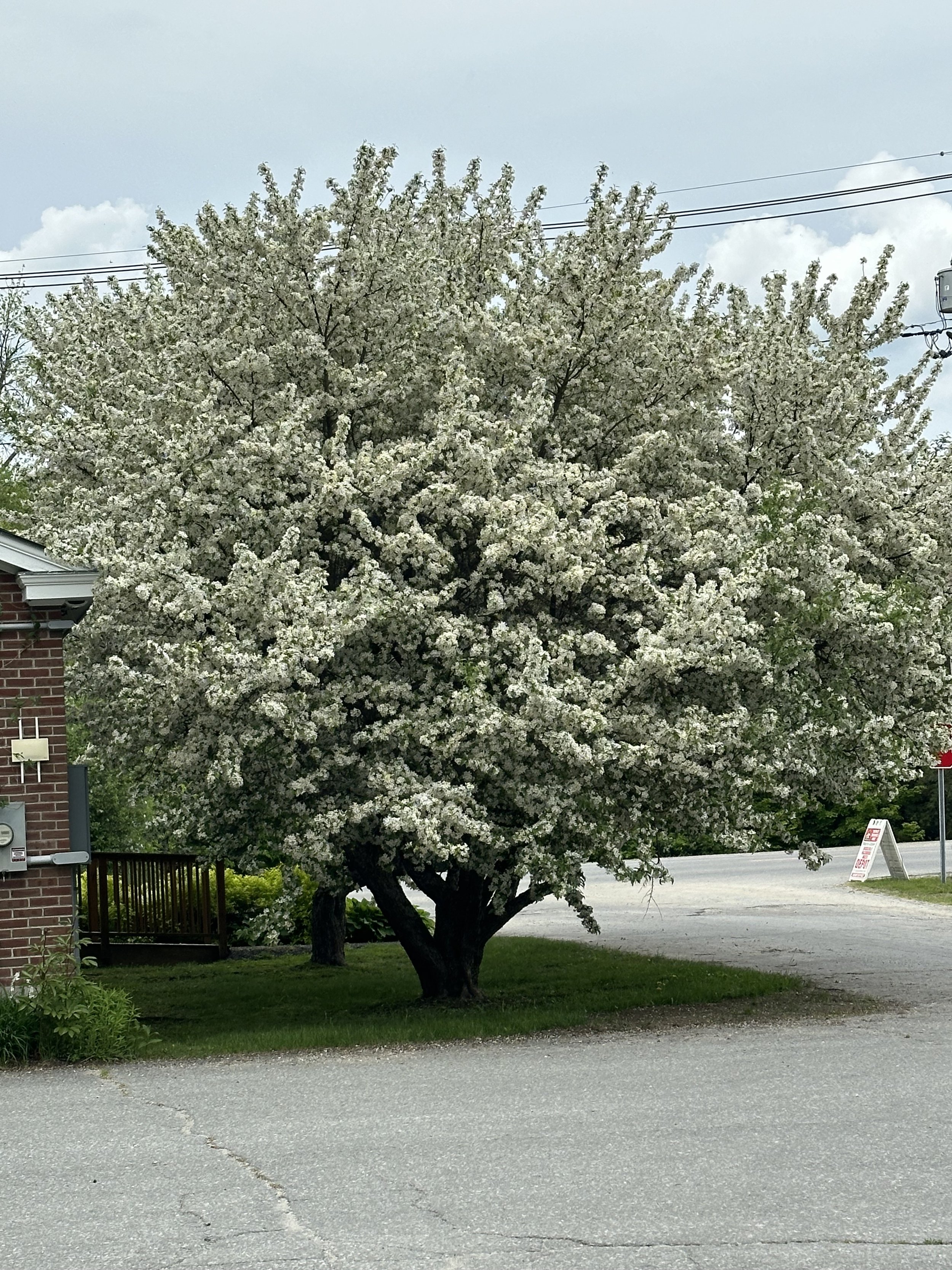 Andover Town Office