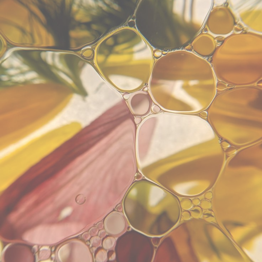 NATIONAL FRAGRANCE WEEK — The Fragrance Foundation UK | The Artistry of ...