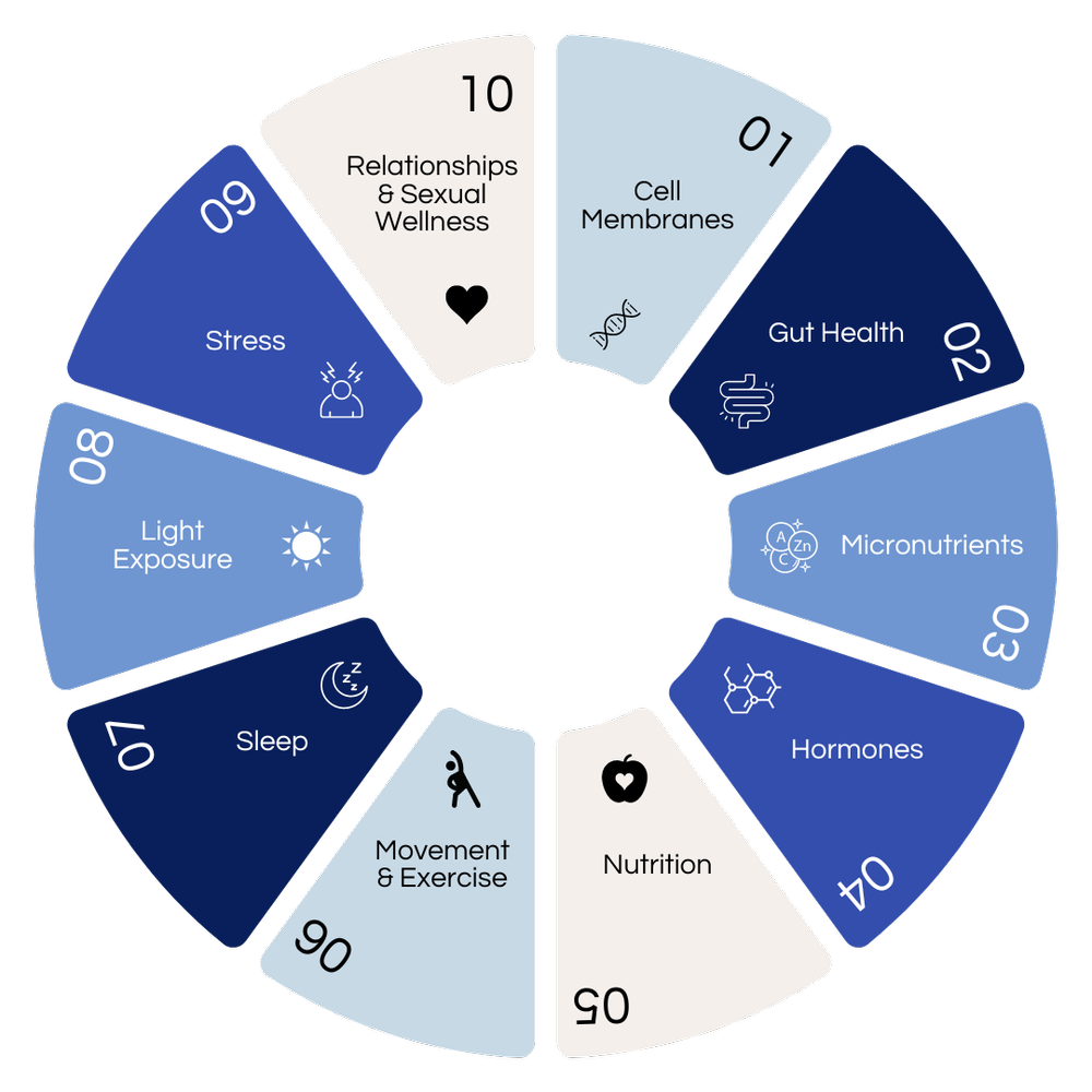 Modern Endocrine | A Top Endocrinology Provider in Oklahoma