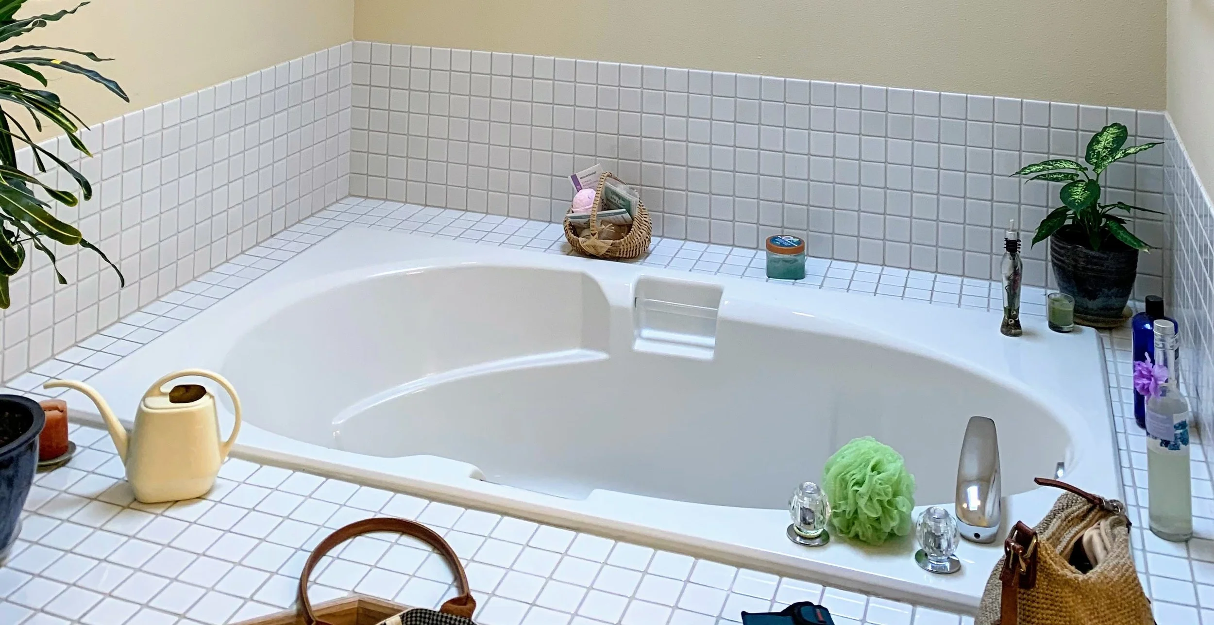Koko the Parrot Two Baths Project — CK HOFFMAN DESIGN