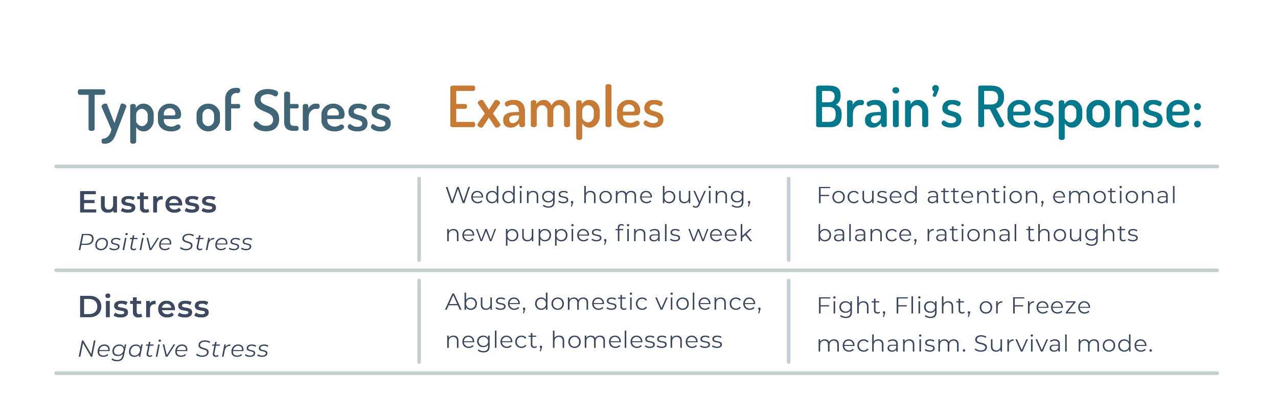 Effects of homelessness — Path Home