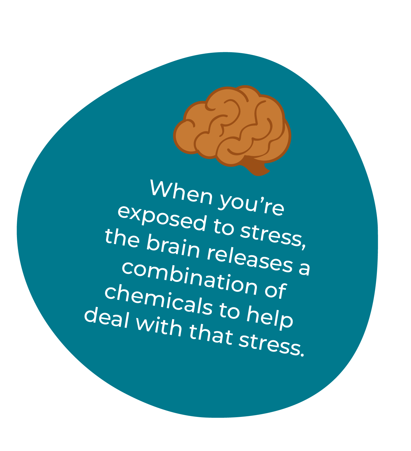 Effects of homelessness — Path Home