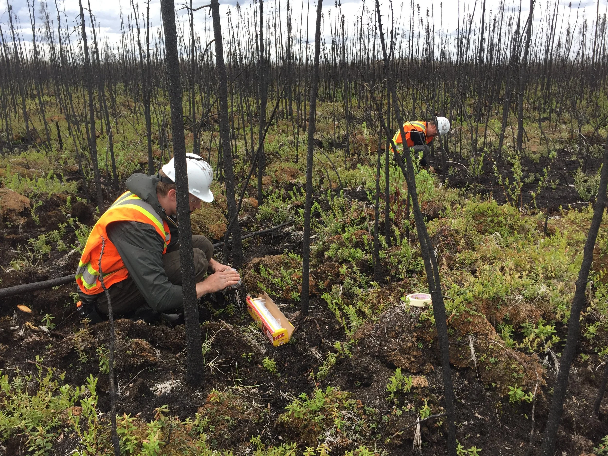 General 2 — Fire and Ecosystems Research Lab