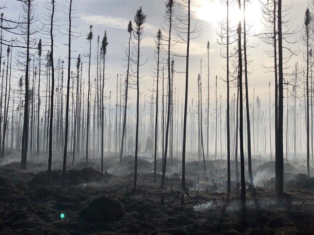 Fire and Ecosystems Research Lab