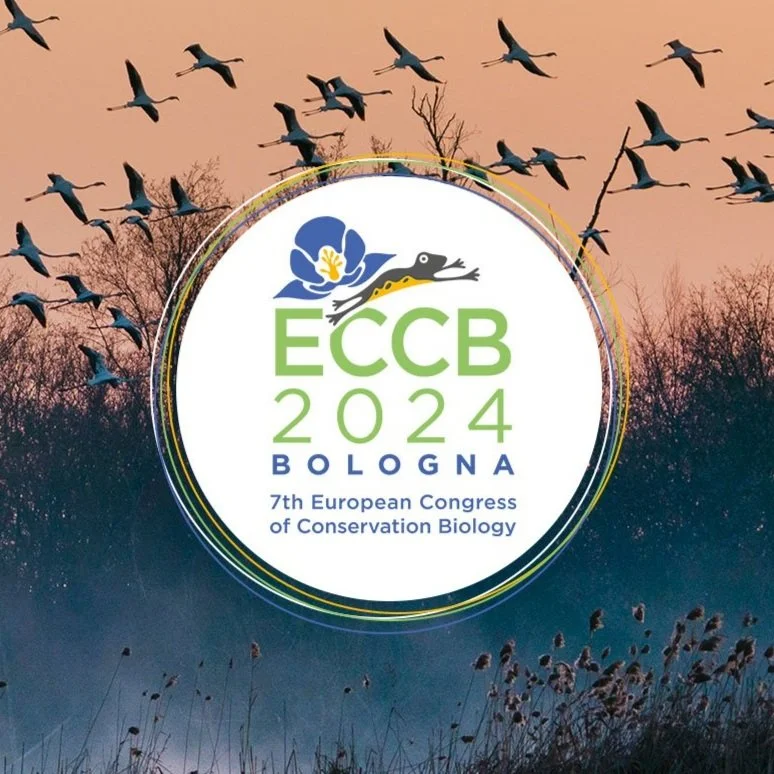 Meetings and Workshops — Insect Welfare Research Society