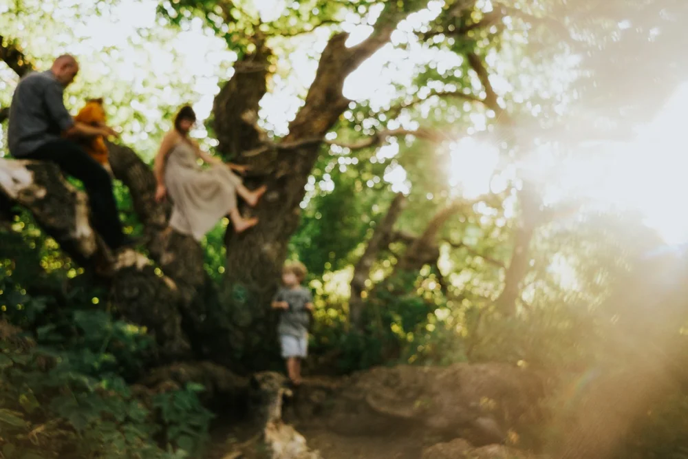 Family Sessions | Seattle Photographer — Alec Mills Photography