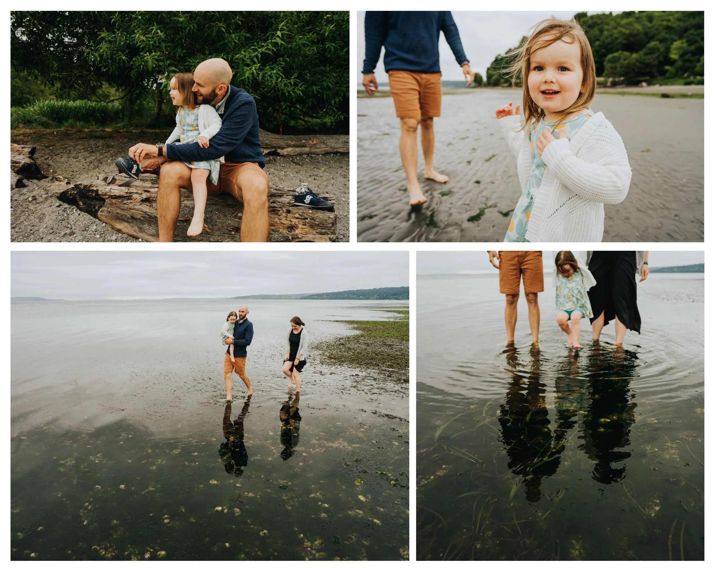 Discover the beauty of Low Tide at Golden Gardens Park in Seattle ...