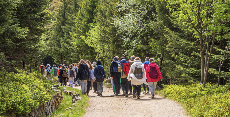 9 Reasons Educational Trips Boost Student Learning | Trip U Tours — TripU