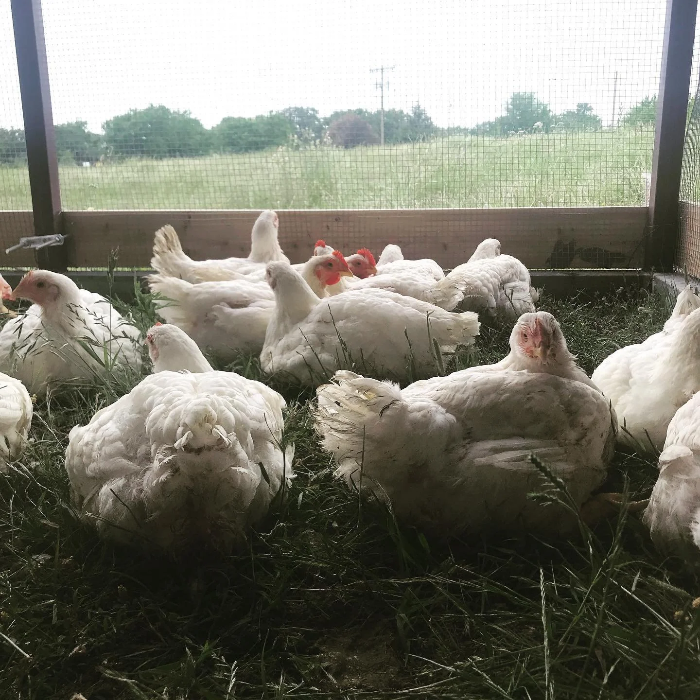 About — Buckeye Ranch