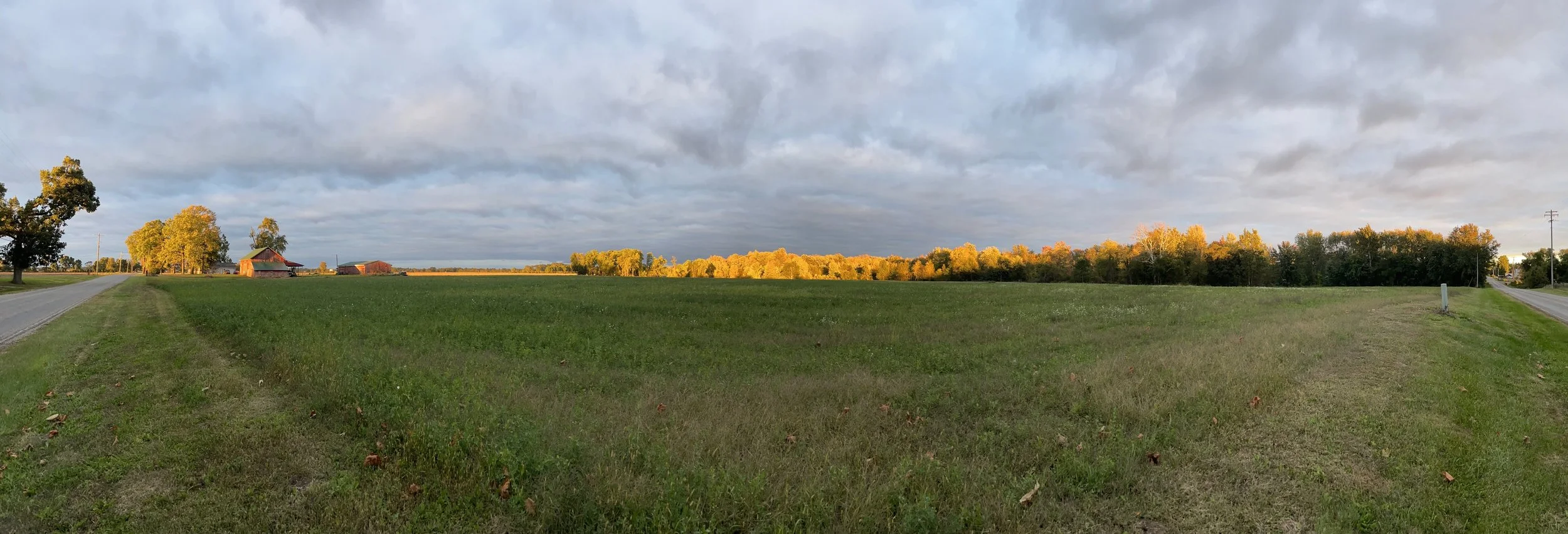 Rich Acres Farm