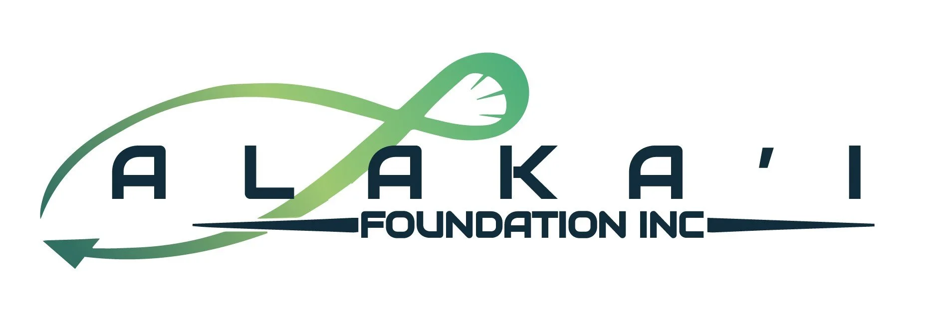 New Page — Alaka‘i Services Group Inc.