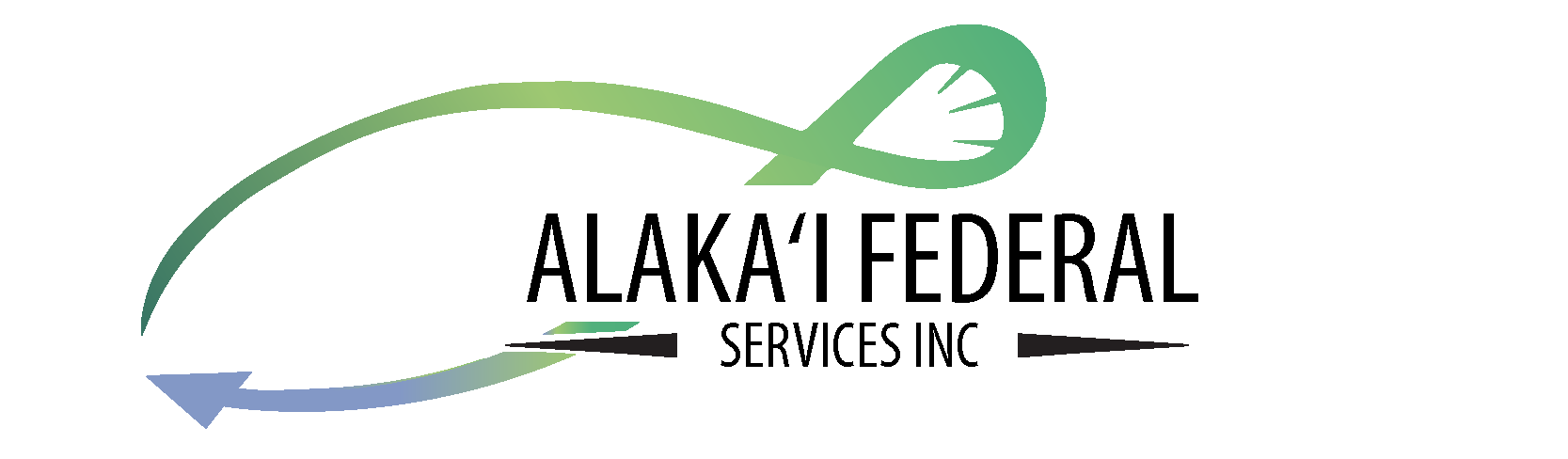 New Page — Alaka‘i Services Group Inc.