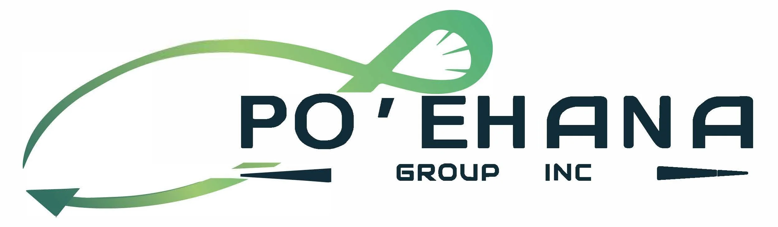 New Page — Alaka‘i Services Group Inc.