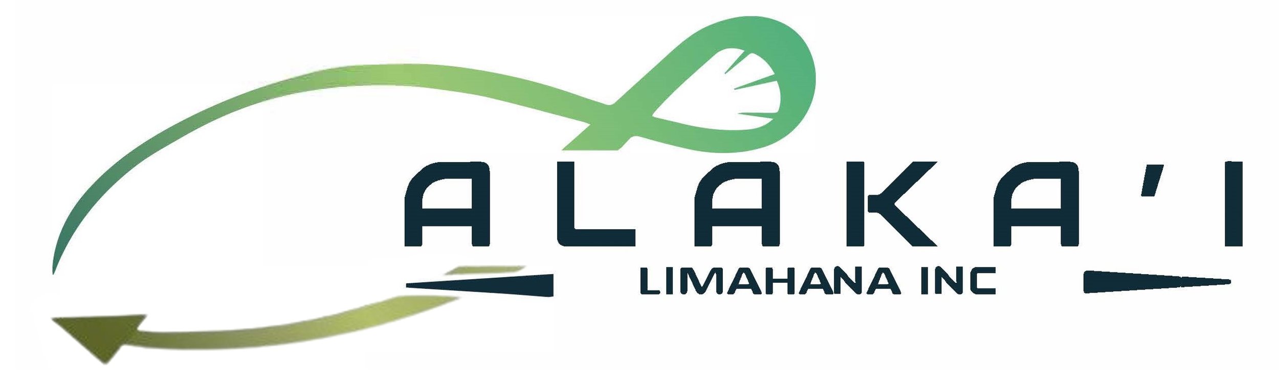 New Page — Alaka‘i Services Group Inc.
