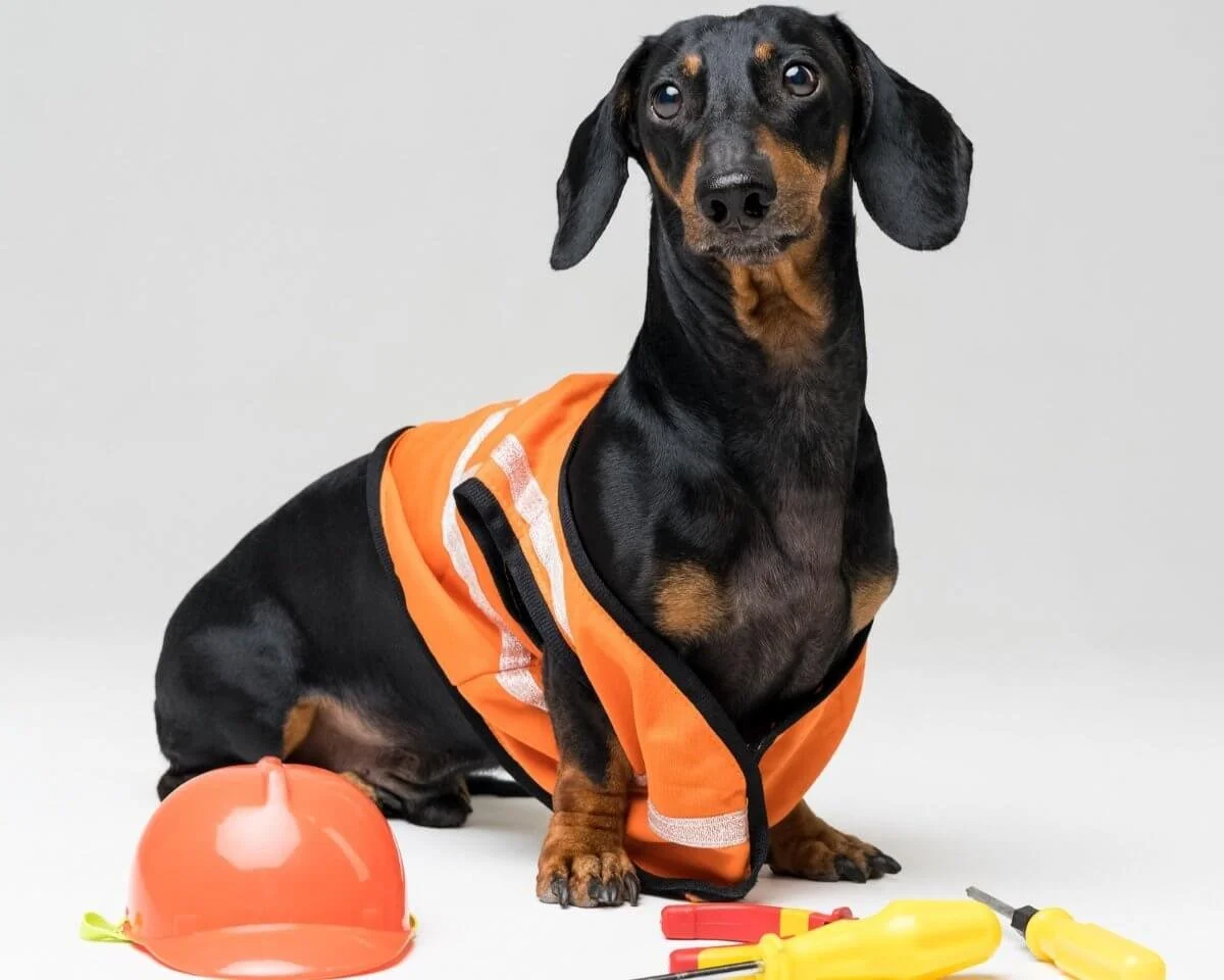 5 Steps to Help You Choose the Right Builder — Ballast Point