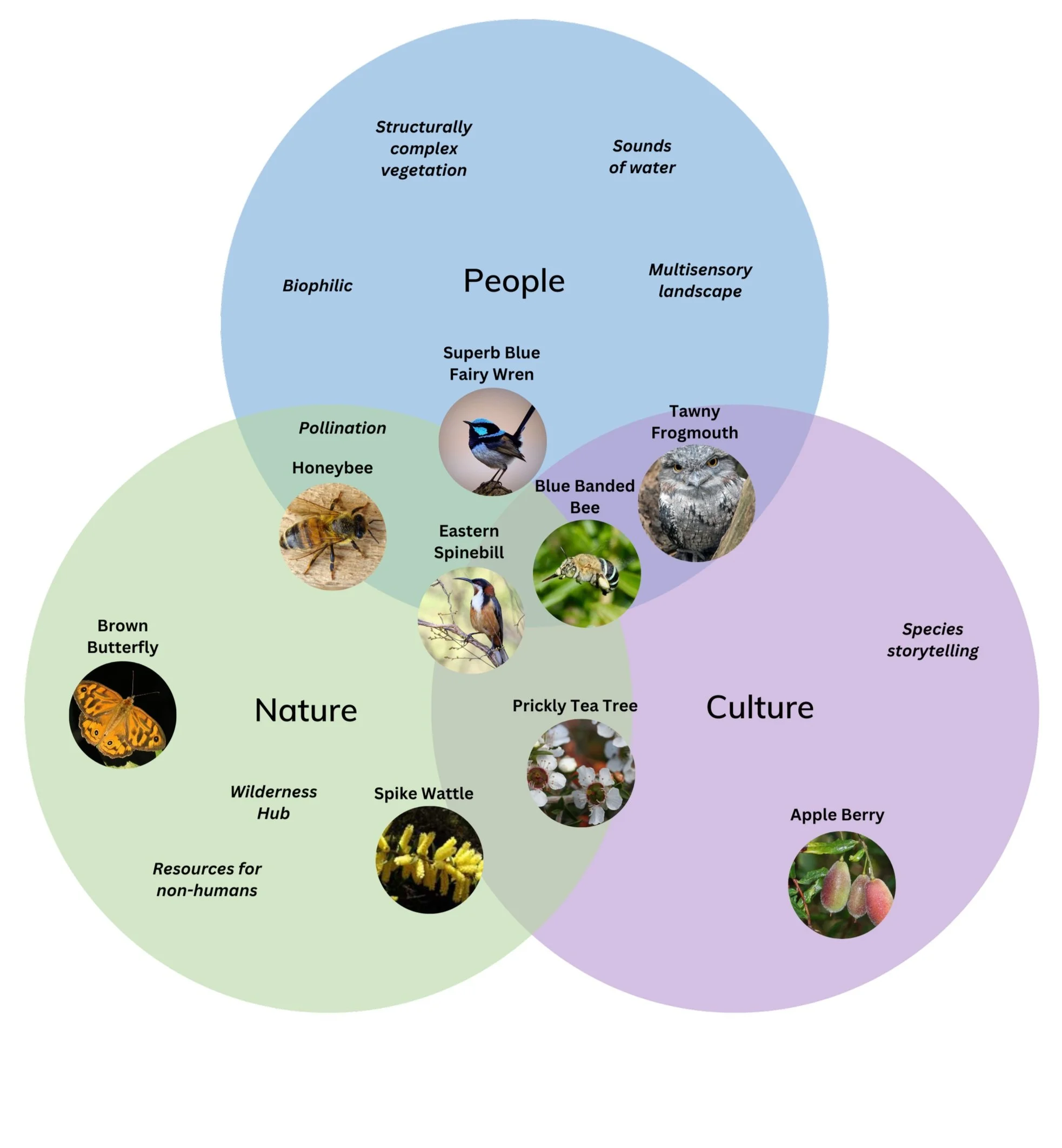 Biodiversity Inclusive Design — Biophilic Bungalow