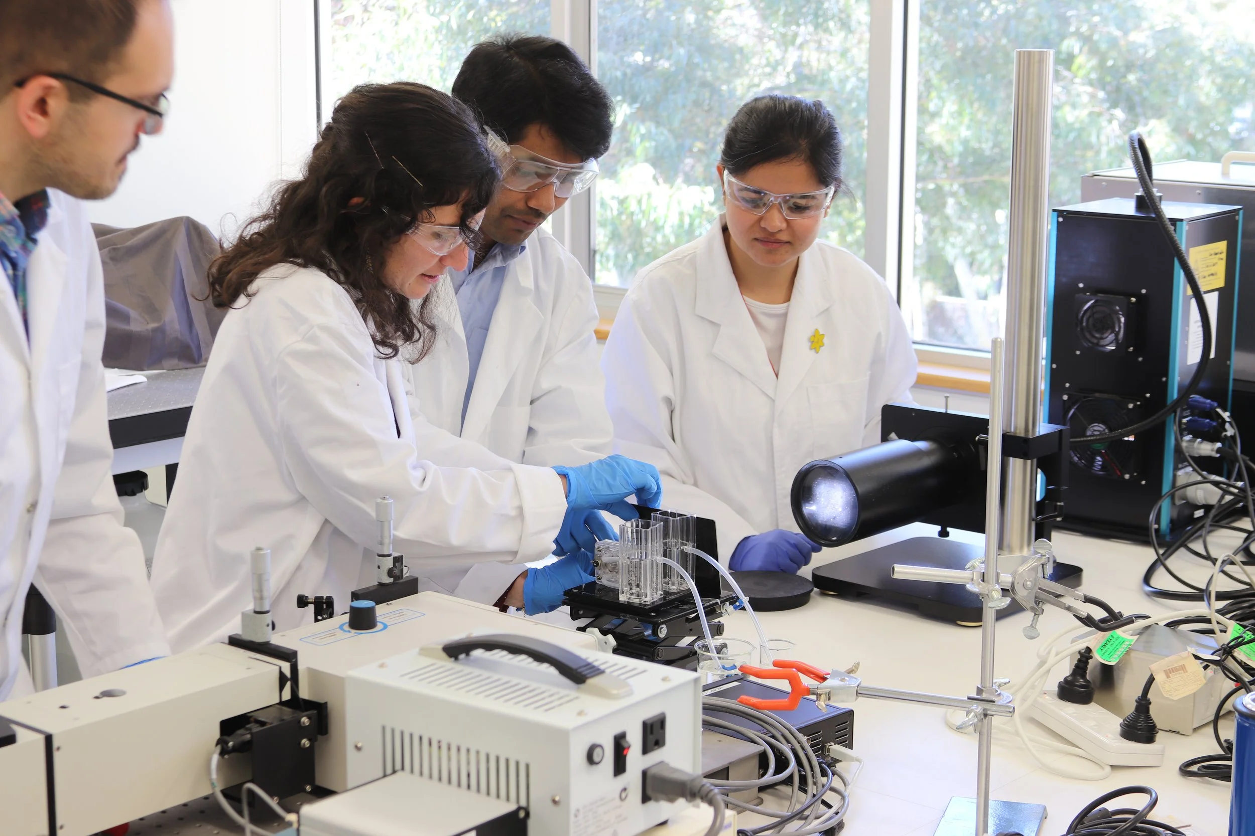 ESI LAB
