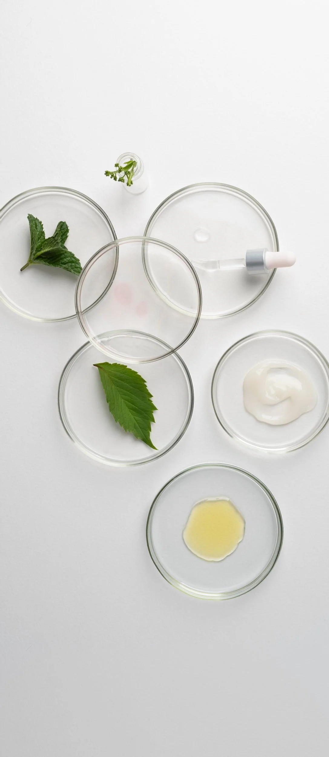 Activ Pharmaceuticals