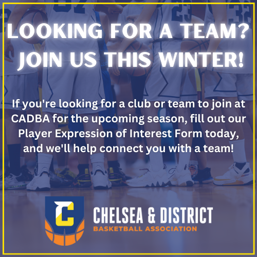 Chelsea & District Basketball Association