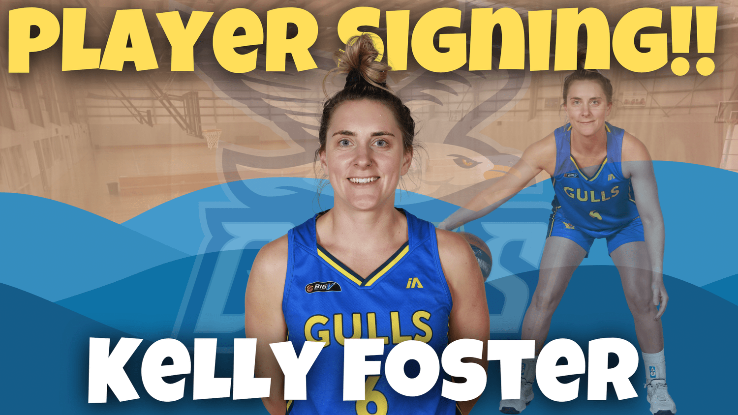 Senior Gulls — Chelsea & District Basketball Association