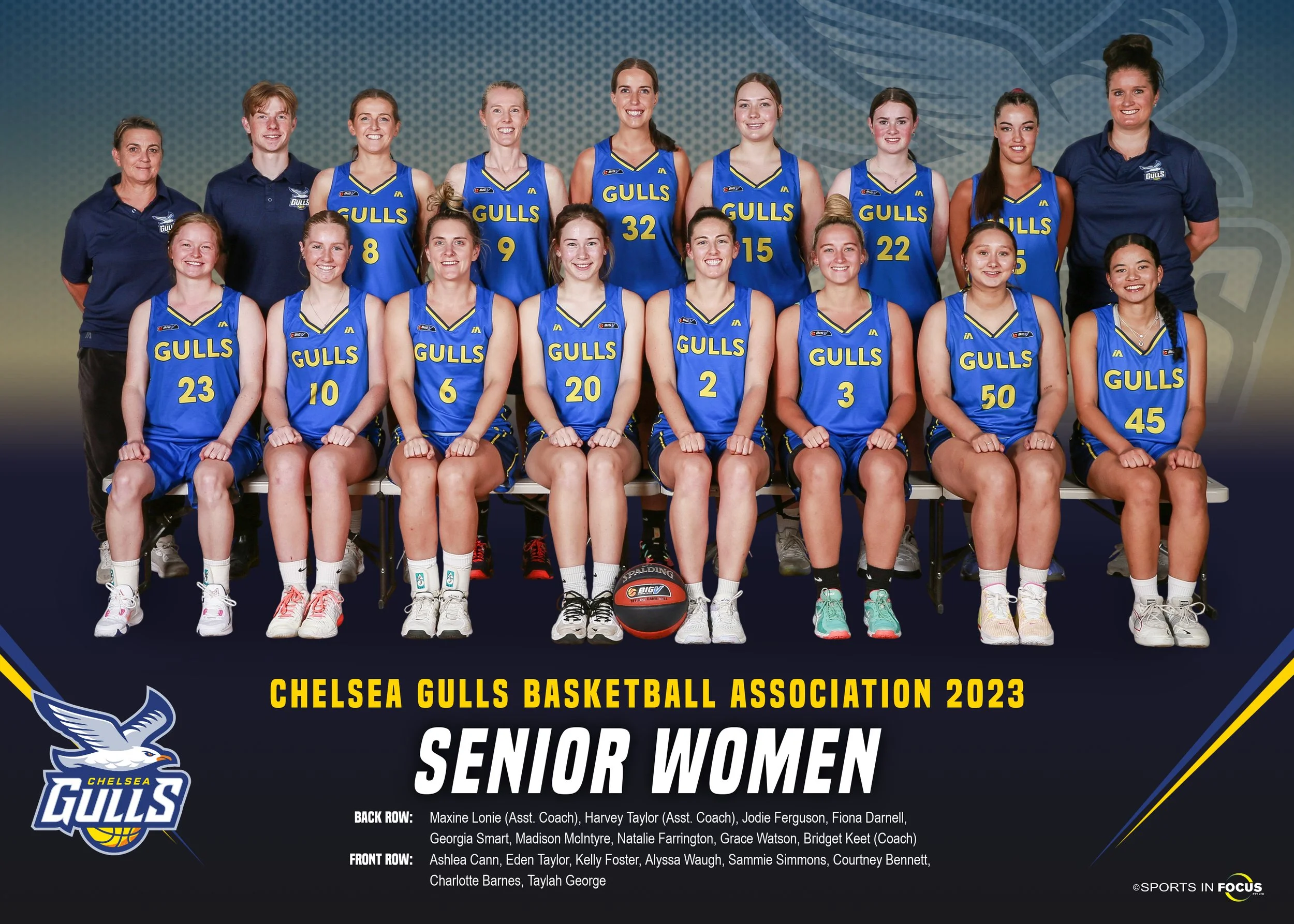 Senior Gulls — Chelsea & District Basketball Association